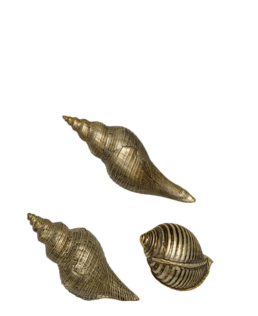 Decoration shell set of 3 gold | GreenGate – GreenGate | A Danish ...